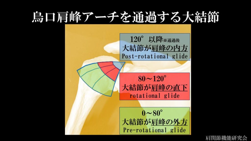 みんな知ってる？肩すくめ徴候Shoulder shrug sign | 肩関節機能研究会(肩研)