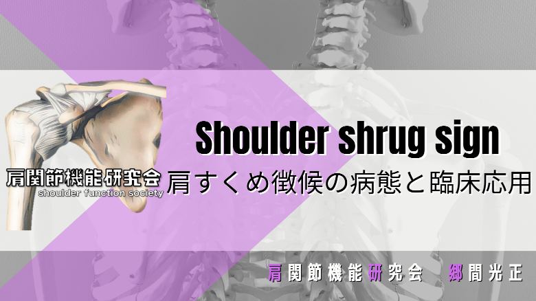 Shoulder shrug signの病態と臨床応用 | 肩関節機能研究会(肩研)