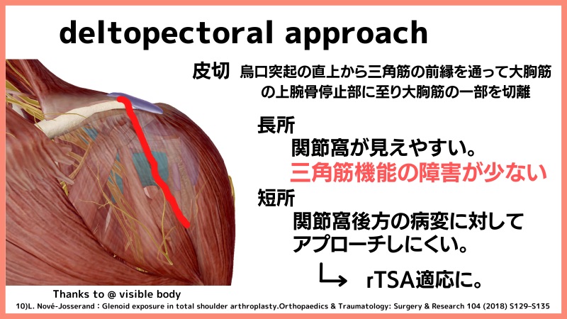 TSAの概要 | 肩関節機能研究会(肩研)